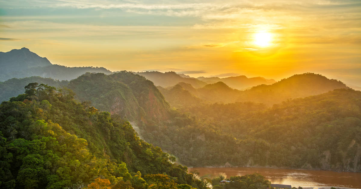 Madidi National Park Bolivia Must See How To