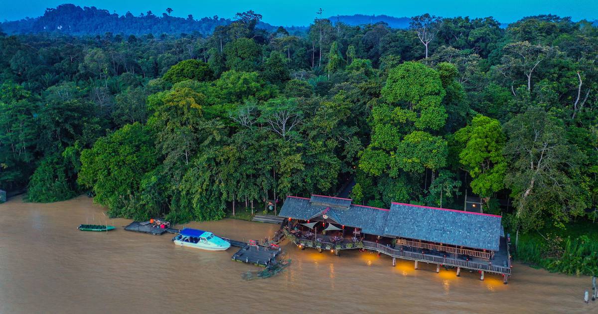 Sukau Rainforest Lodge | Tico Reizen