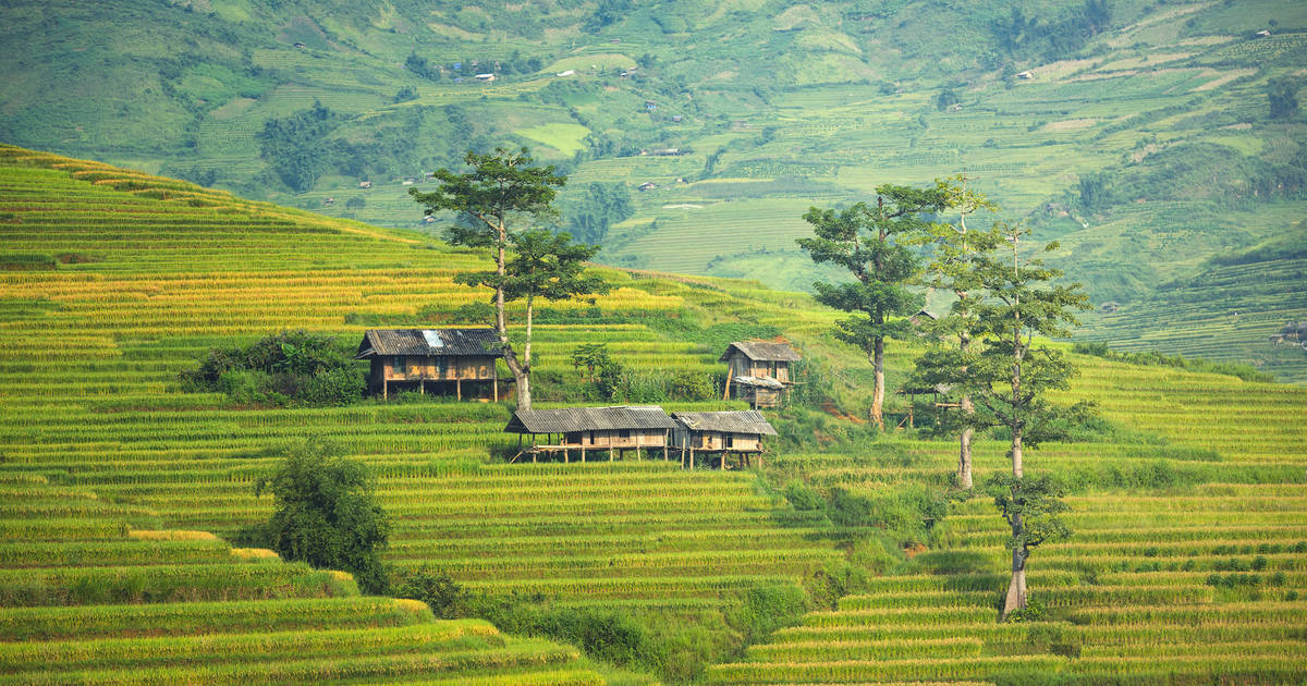 Azië reizen | Tico Reizen